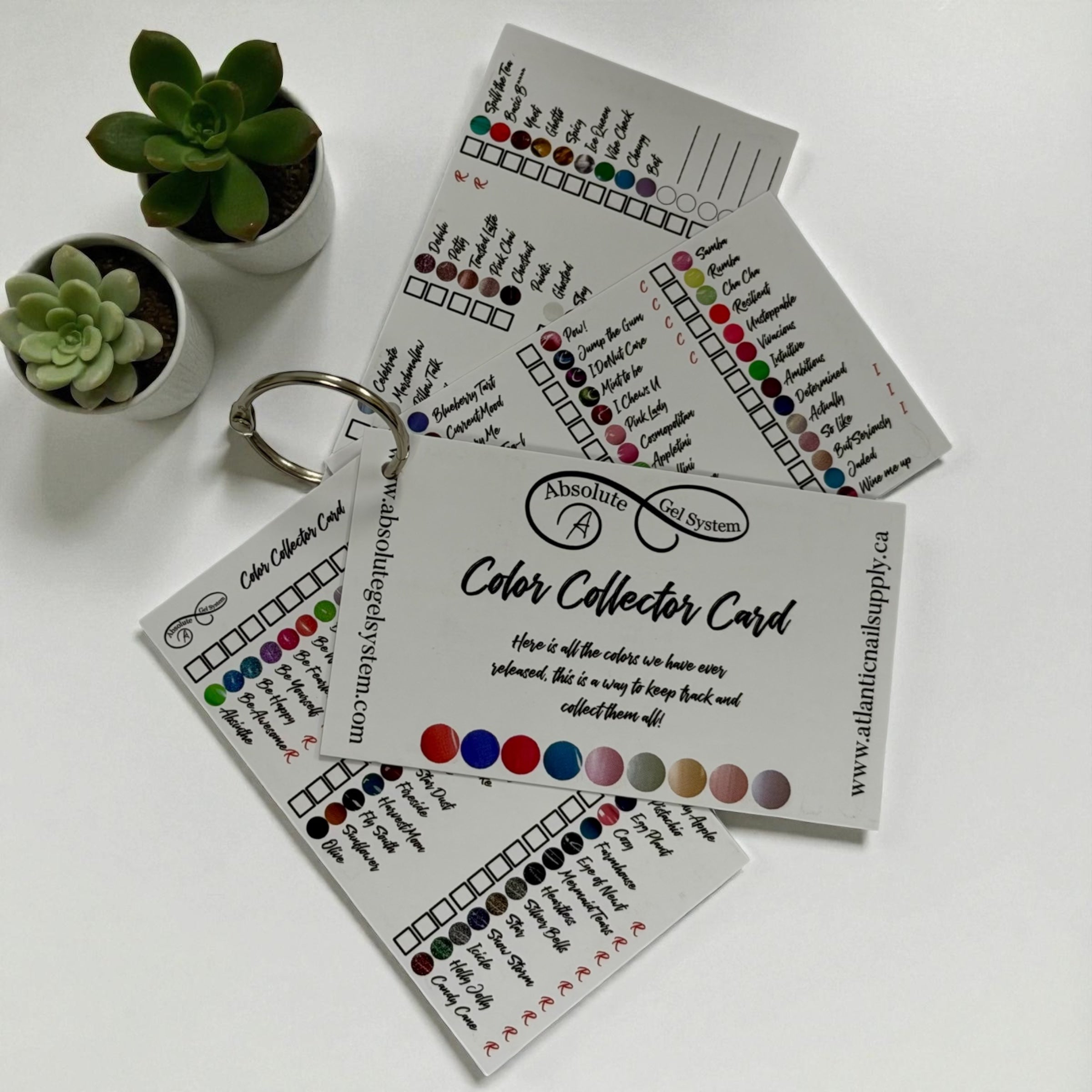 Absolute Color Collector Card – Atlantic Nail Supply